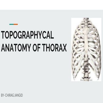 Introduction to thorax | PPTX