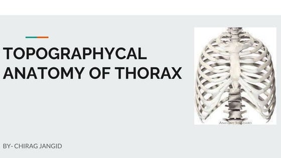 Movements of thoracic wall | PPTX