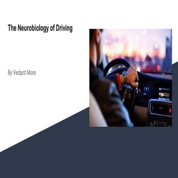 The Neurobiology of Driving | PPTX