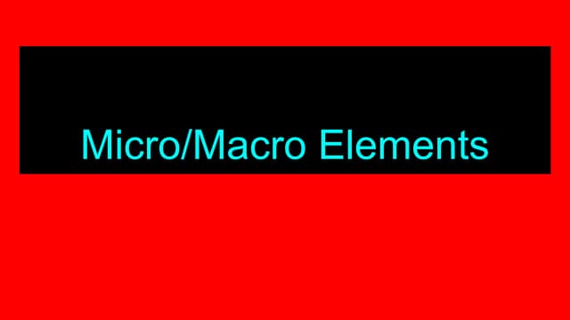 Micro and Macro elements in film | PDF