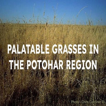 16. forage-crop-original-1.pptx......... | PPTX