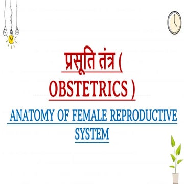 Anatomy Of Female Reproductive System Ppt Pptx Sexual Conditions