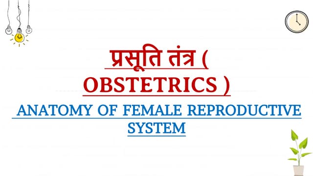 Anatomy Of Female Reproductive System Ppt Pptx Sexual Conditions