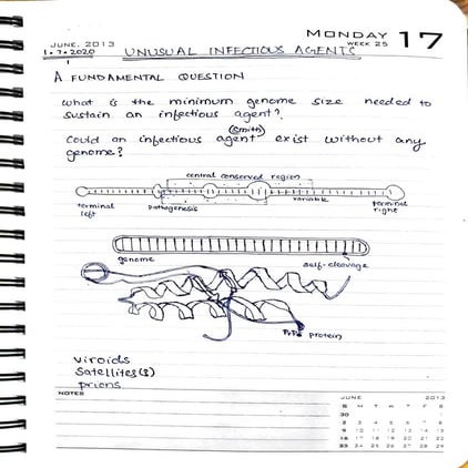 Virology Notes 2020 #25: Unusual infectious agents | PDF