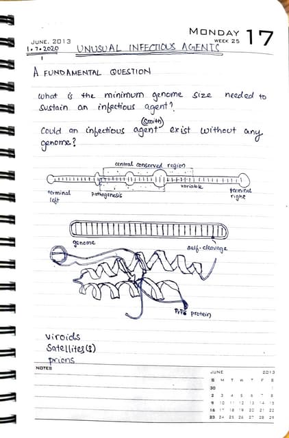 Virology Notes 2020 #22: Emerging viruses | PDF