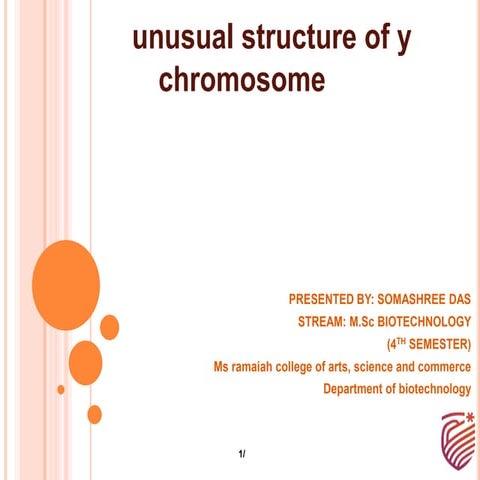 Y Chromosome Structure Y Chromosomes Rau's IAS