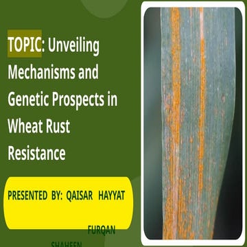 Unveiling Mechanisms and Genetic Prospects in Wheat Rust Resistance 3.pptx