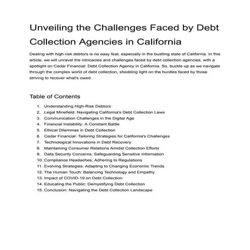 Common Challenges in Debt Recovery.pptx