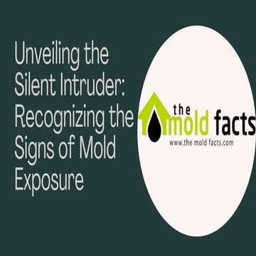 Unveiling the Silent Intruder: Recognizing the Signs of Mold Exposure ...