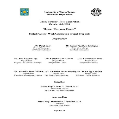 United Nations Program Flow | PDF