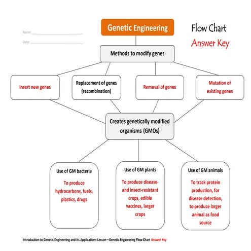 uoh_genetic_lesson01_flowchartas_v2_tedl_dwc.pdf
