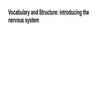 Vocabulary and Structure - Nervous System | PPTX