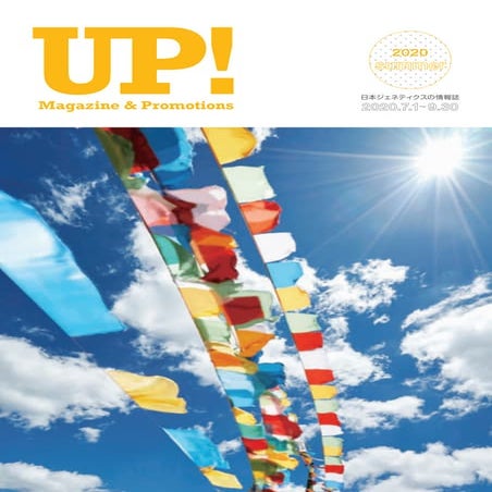 Up! Magazine & Promotions 2020 Summer | PDF