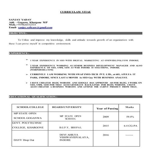 Update cv 2020 | PDF