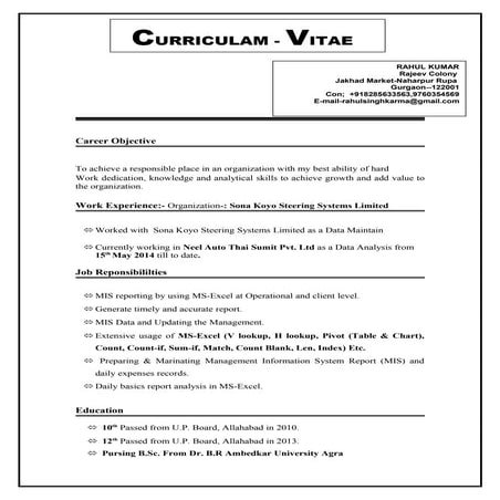 Rupesh Resume | DOCX