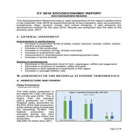 Updated 2018 Socioeconomic Report of Region XII | PDF