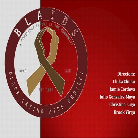 BLAIDS 2012-2013 Presentation | PPTX