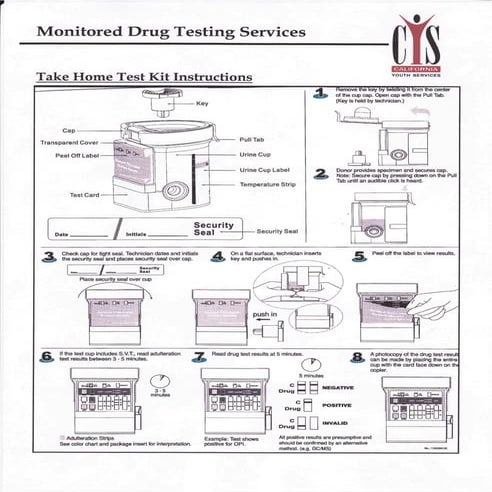 Updated Drug Test Instructions 2 | PDF