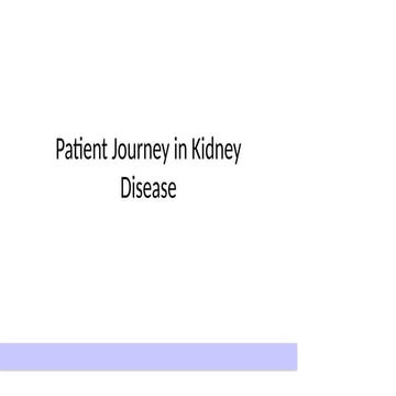 Updated_Kidney_Journey_Presentation.pptx