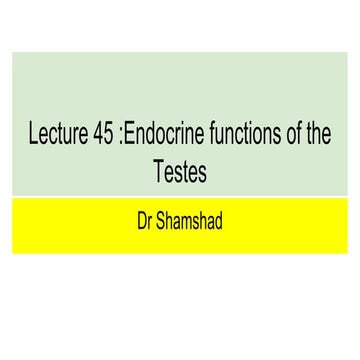 Endocrine functions of the testes | PPTX