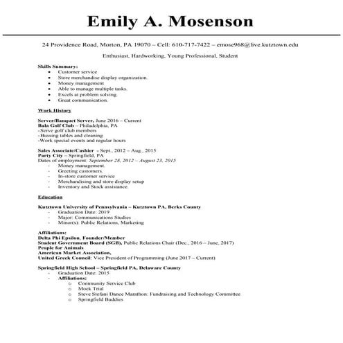 Ryan Mickleys Resume | DOCX