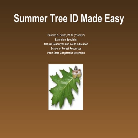Updated summer tree id practice cyber | PPT