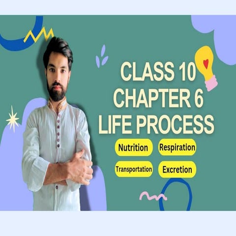 Class 10 chapter 6 life process Transportation_in_Human_Beings.pptx