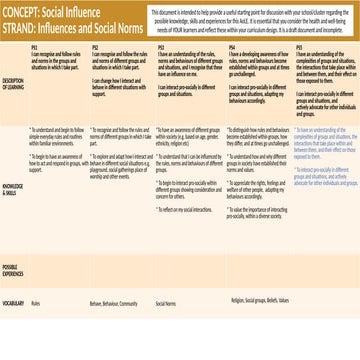 Social influence and how teens respond to it | PPT