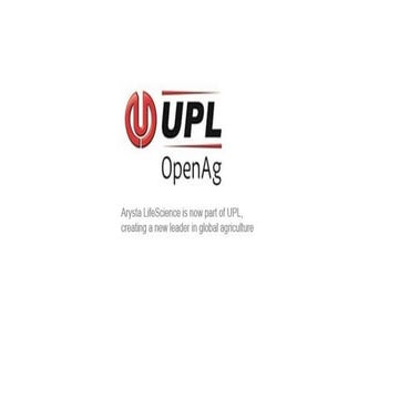 Upl iita | PDF