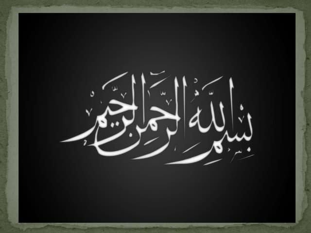 Program development life cycle | PPTX