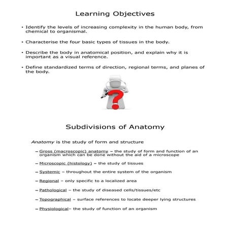 an introduction to human anatomy basics and terminology | PPTX
