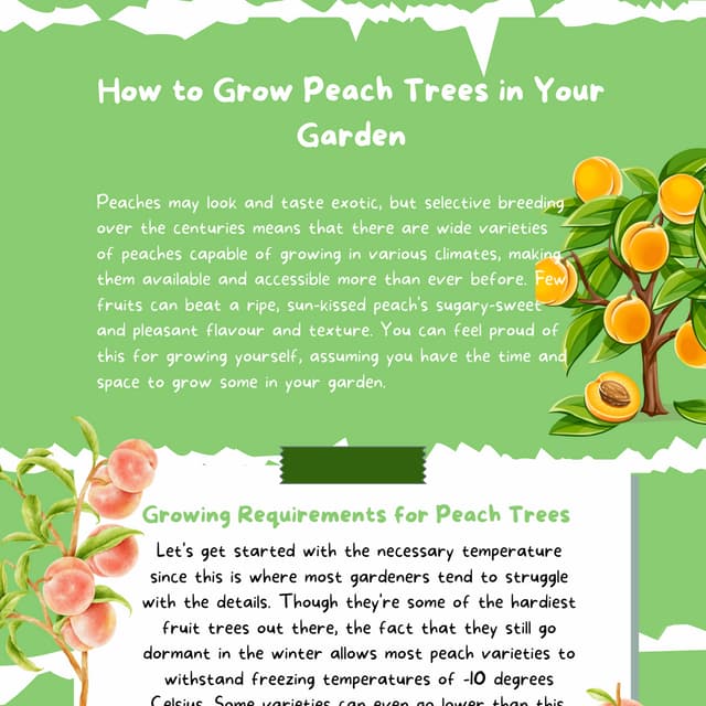 How to Grow Peach Trees in Your Garden | PDF