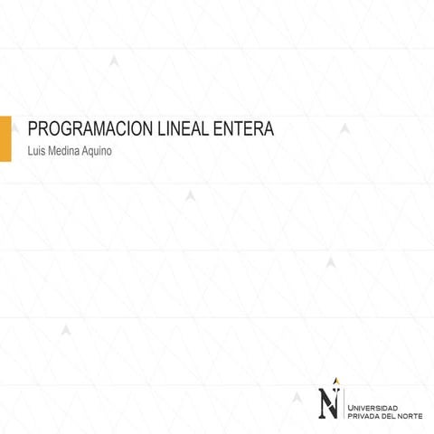 PROGRAMACION LINEAL ENTERA Y BINARIA OPERACIONE II | PDF