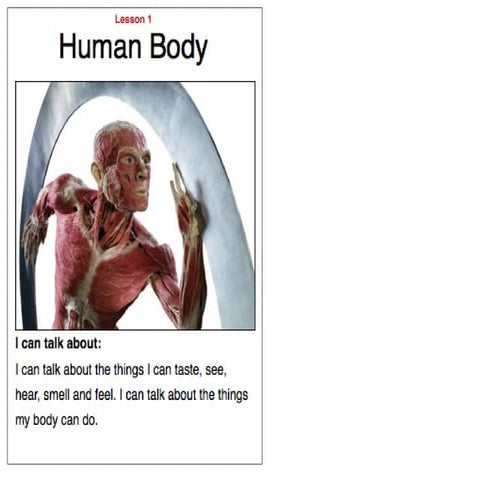 ESL Science Human Body | PPT