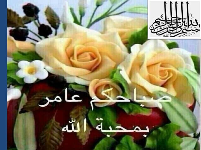 2nd Upper Premolar Anatomy | PPTX