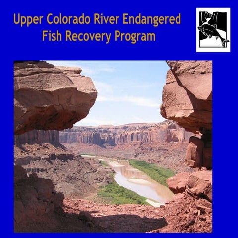 Upper Colorado River Endangered Fish Recovery Program | PPT