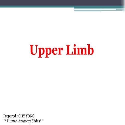 Upper limb | PPTX