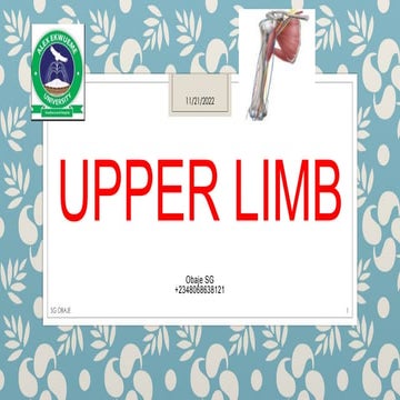 upperlimb-221121190207-73908393.pdf