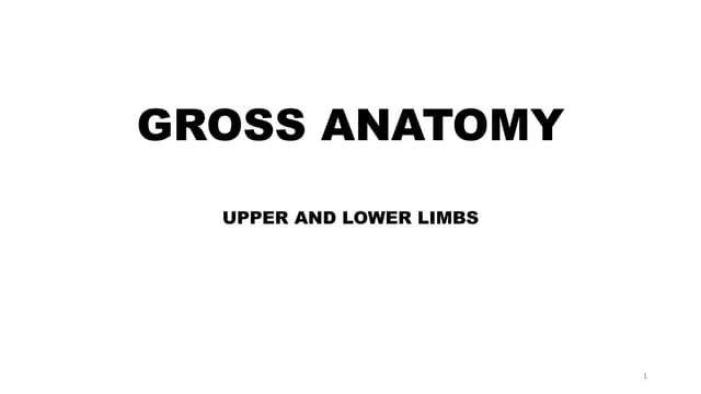 BONY LANDMARKS Terminology of anatomy physiology | PPTX