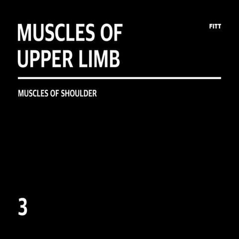 Upper limb (3) pt | PPT