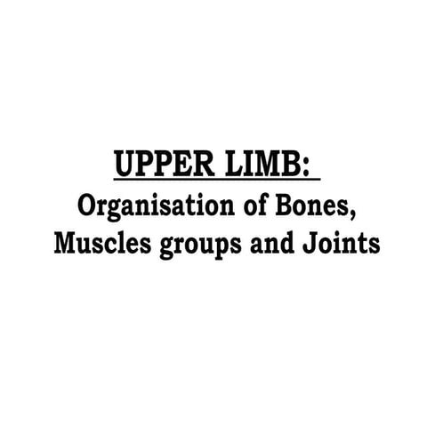Upper limb muscles | PPTX