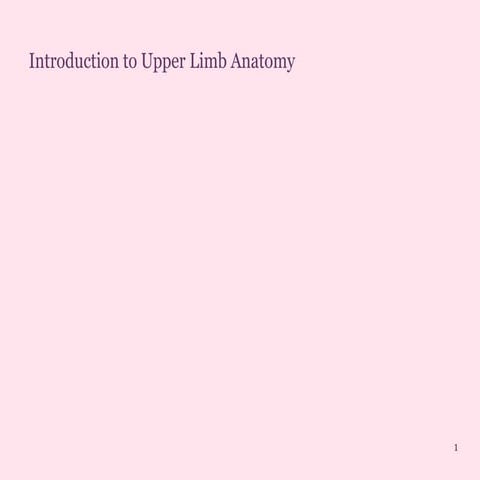 Upper_Limb_Anatomy_Intro_Presentation.pptx