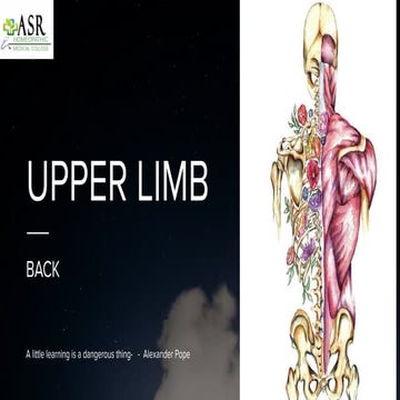 UPPER LIMB DERMATOMES AND THEIR CLINICAL SIGNIFICANCE. pptx | PPTX