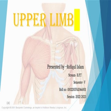 Upper_Limb_Anatomy_fPresentmmmation.pptx
