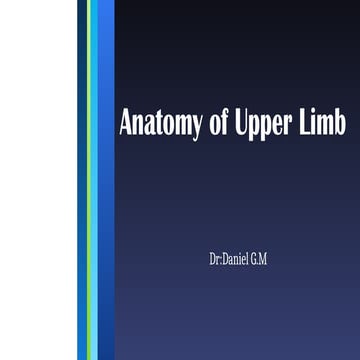 upper limb cmt4 knowledge based and .ppt