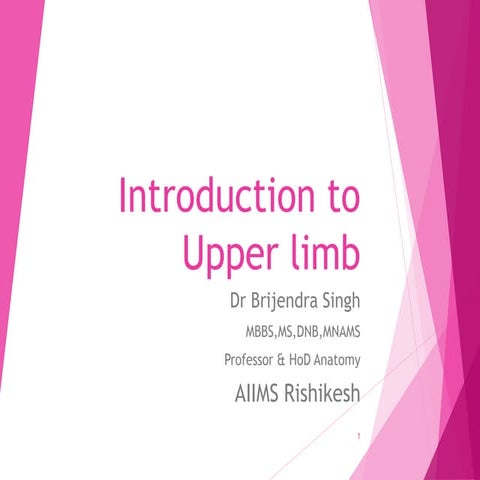 UPPER LIMB MUSCLES.pdf anatomy for first year | PDF