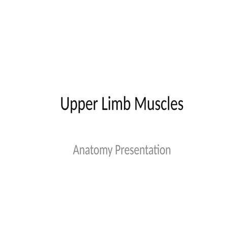 Upper_Limb_Muscles_Presentation 1 2.pptx