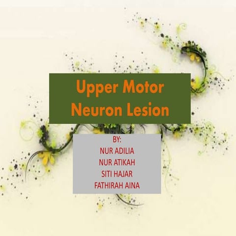 Upper motor neuron | PPTX