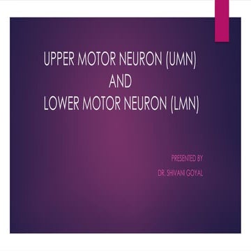 UPPER MOTOR NEURON (UMN) AND LOWER MOTOR NEURON (LMN).pptx