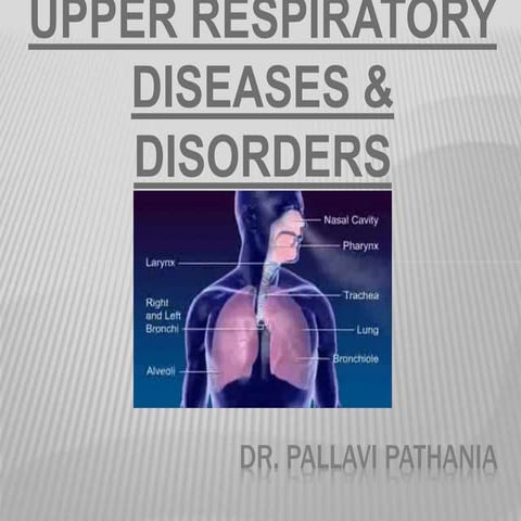 Upper Respiratory Diseases | PPTX